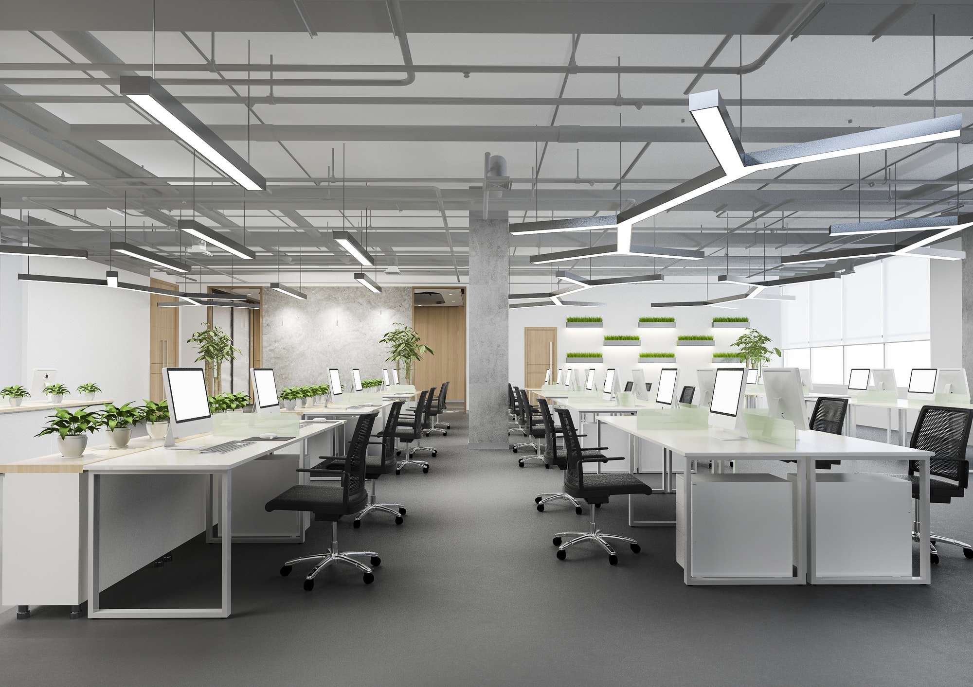 How to utilize indoor plants to positively impact your office fitout ...